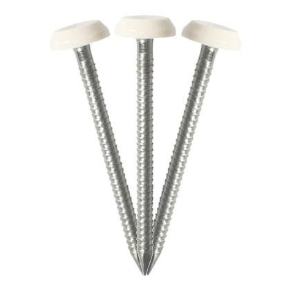 TIMco 3.2mm x 65mm White Poly Top Nails A4 Stainless Steel 100pc